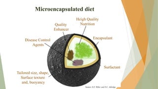 Nutritional Factors.pptx