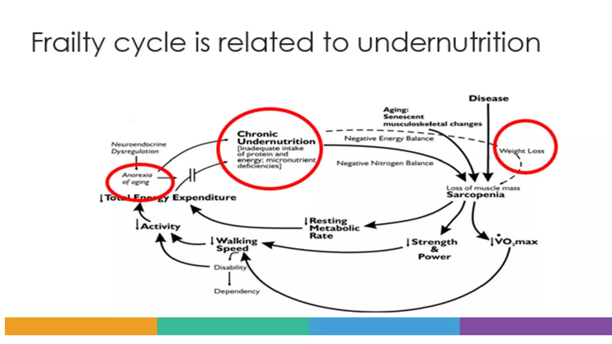 nutritional frailty.pdf