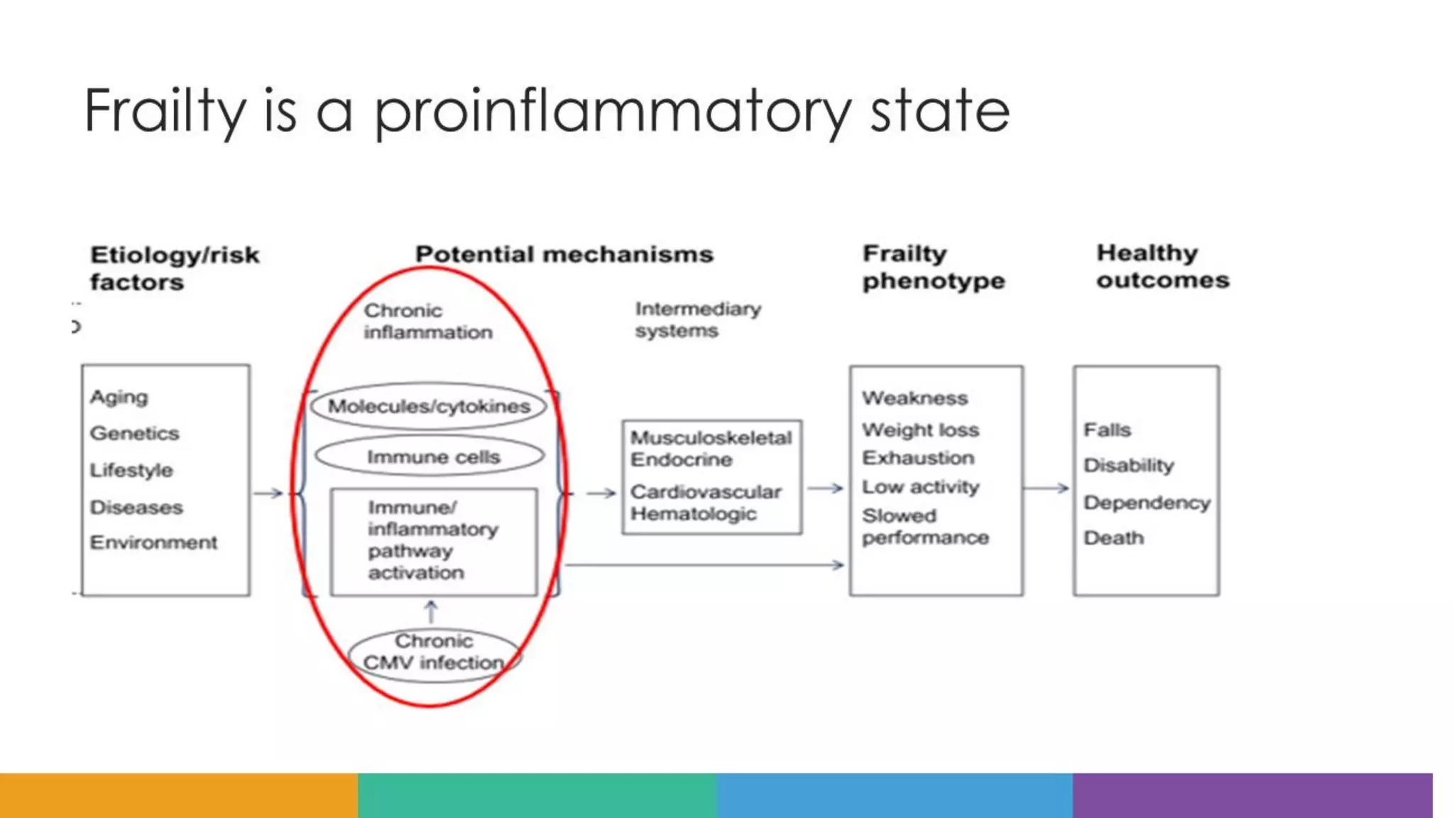 nutritional frailty.pdf