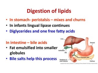 Nutritional importance of fats | PPTX