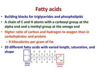 Nutritional importance of fats | PPTX
