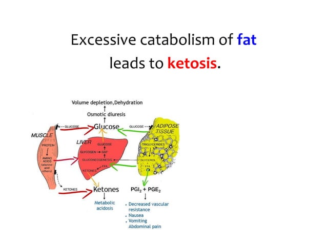 Medical Biochemistry | FooD and Nutrition : Nutritional importance of ...