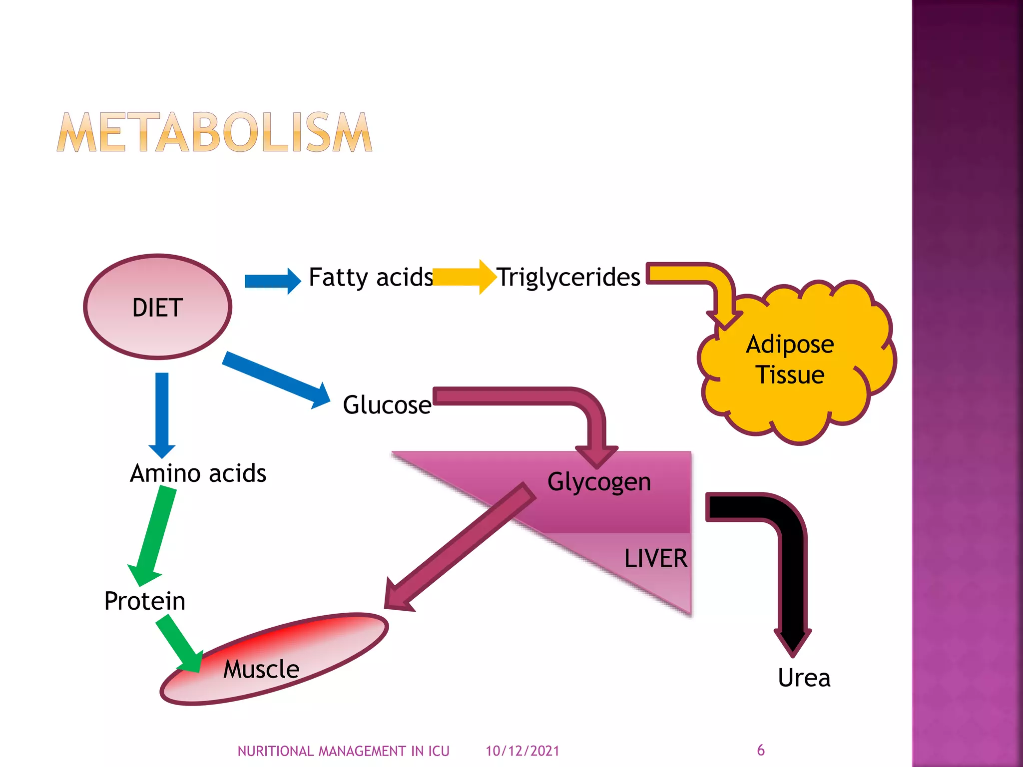 Nutritional management in the ICU | PPTX