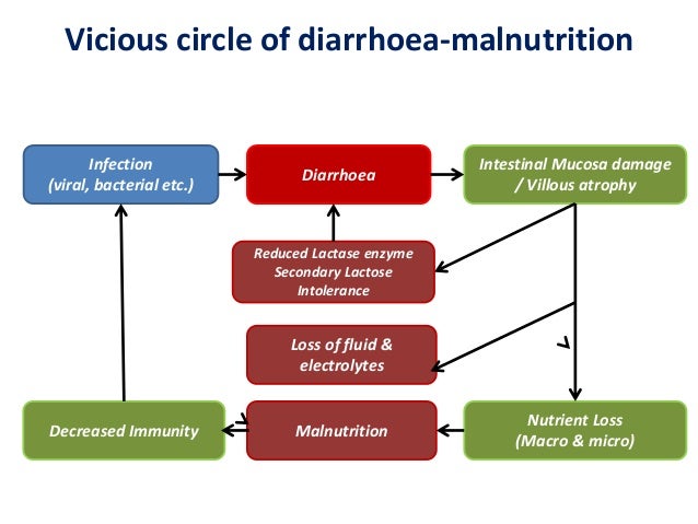 Nutritional management of diarrhea