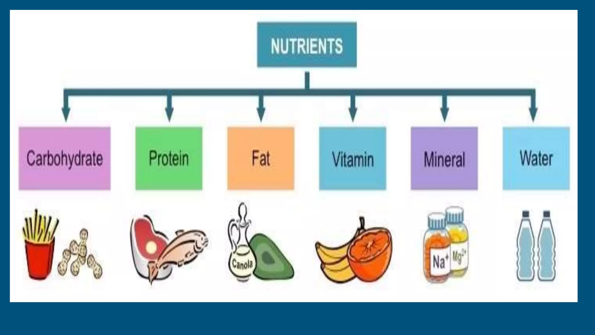 NUTRITIONAL NEEDS.pptx