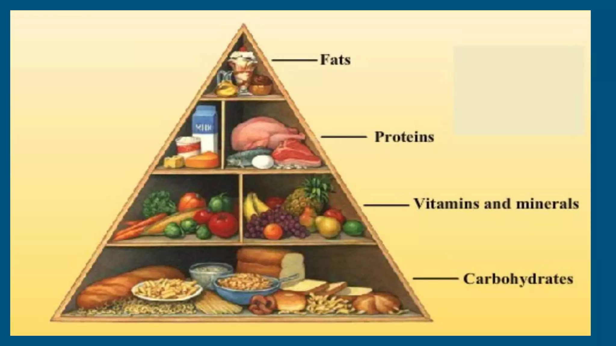 NUTRITIONAL NEEDS.pptx