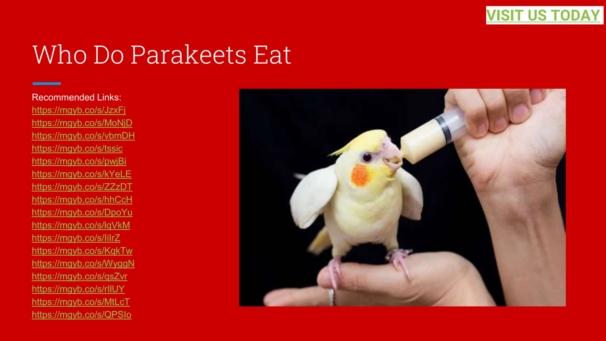 Nutritional Needs Of Parrots | PPT