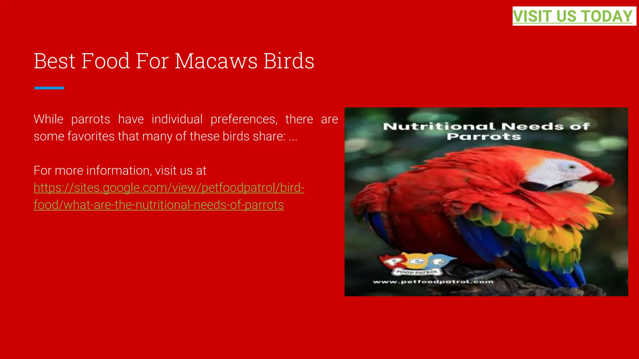 Nutritional Needs Of Parrots | PPT