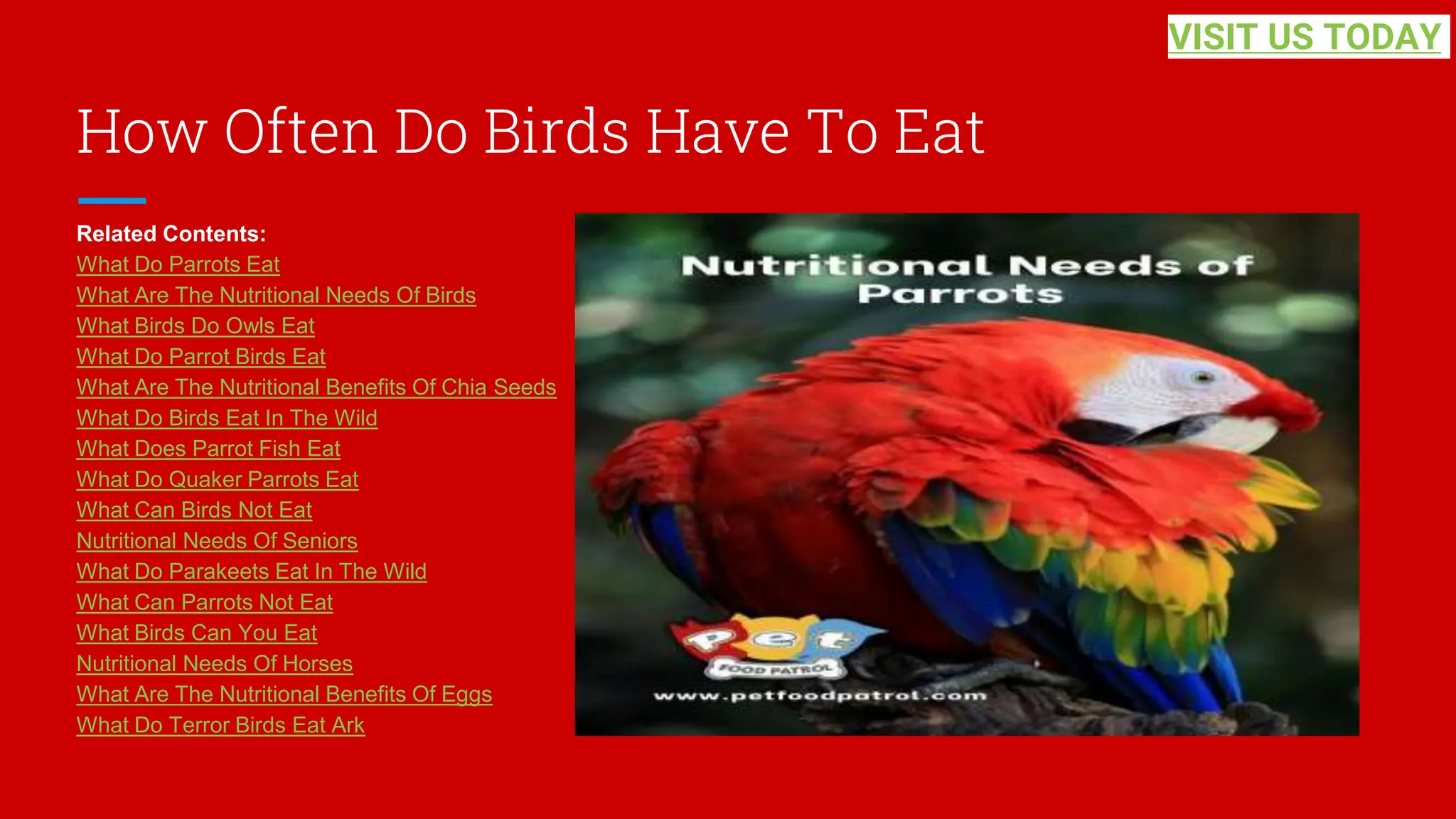 Nutritional Needs Of Parrots | PPT