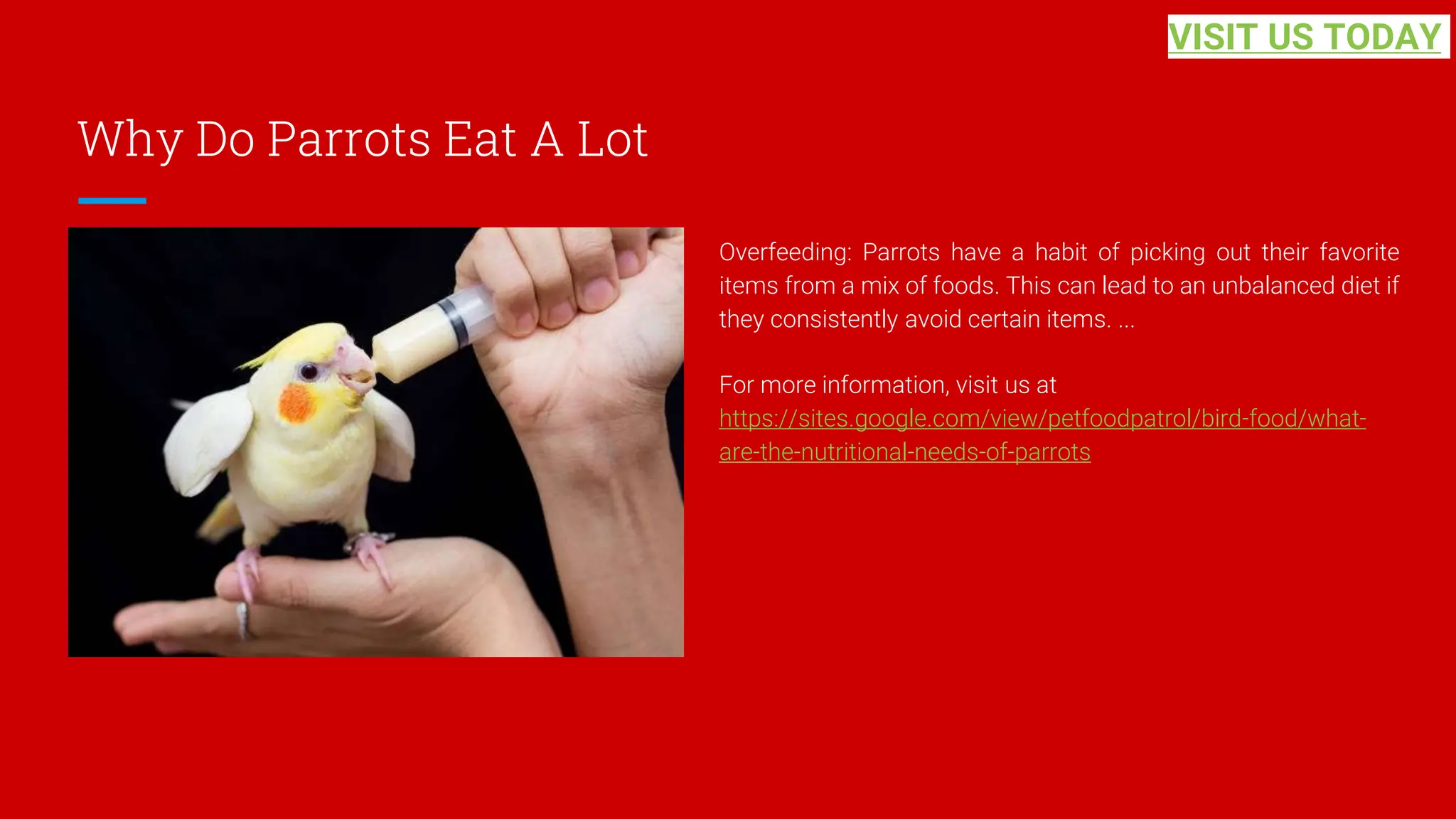 Nutritional Needs Of Parrots | PPT