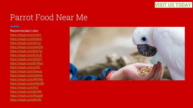 Nutritional Needs Of Parrots | PPT
