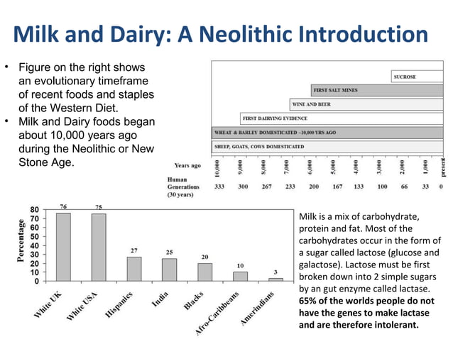 Nutritional Neuroscience: Thinking Twice about the Foods that Feed your ...