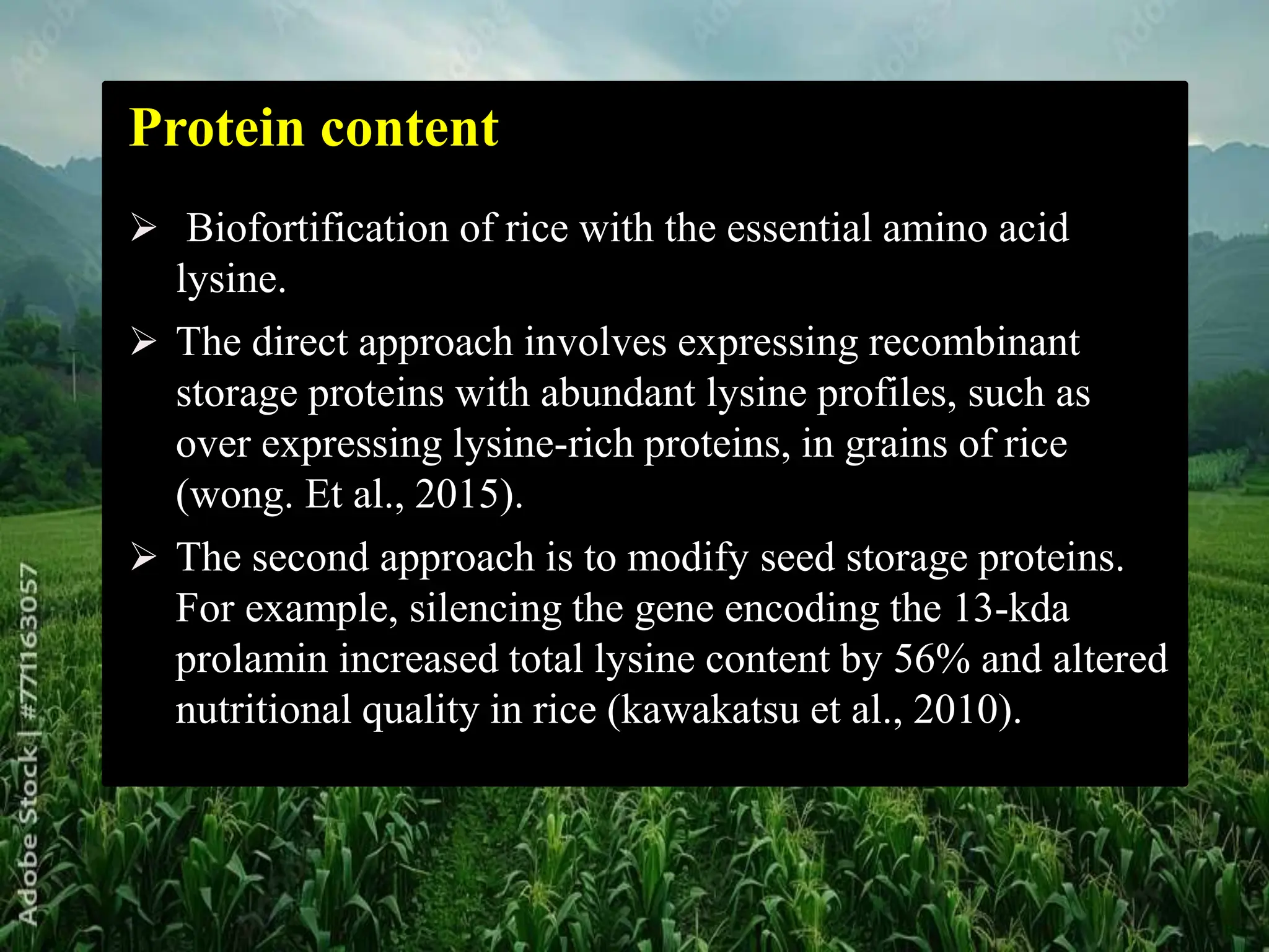 nutritional_quality_of_rice_ppt[Lavkesh verma] | PPTX