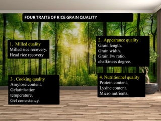 nutritional_quality_of_rice_ppt[Lavkesh verma] | PPTX