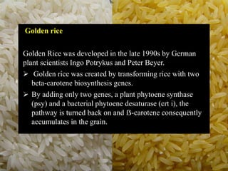 nutritional_quality_of_rice_ppt[Lavkesh verma] | PPTX