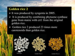 nutritional_quality_of_rice_ppt[Lavkesh verma] | PPTX