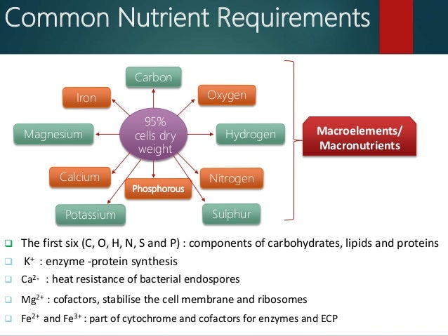 Nutritional Forms Of Microorganisms With Diagram