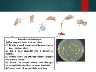nutritionalrequirementbymicroorganisms-180715045302 (1).pdf