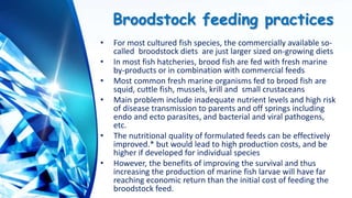 Nutritional requirement of larvae and broodstock of commercially ...