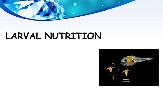 Nutritional requirement of larvae and broodstock of commercially ...