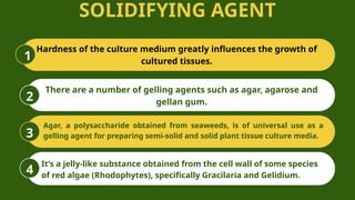 Media Composition and Nutritional requirement of Plant tissue culture.pptx