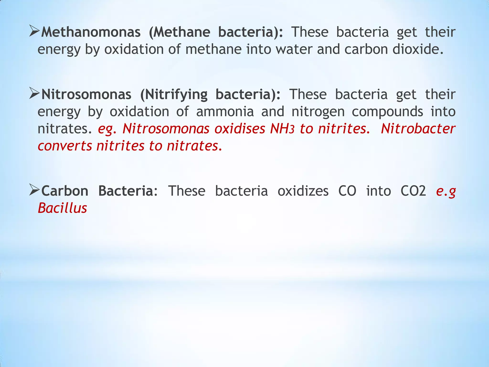 Nutritional requirements in bacteria | PDF