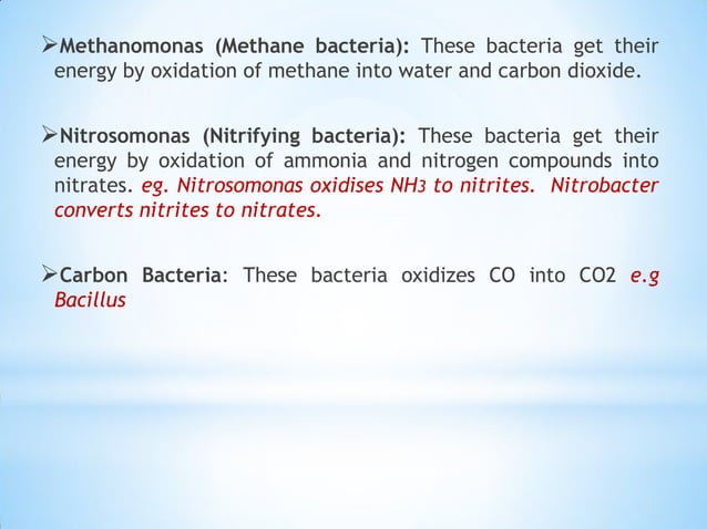 Nutritional requirements in bacteria | PDF | Nutrition | Healthy Living