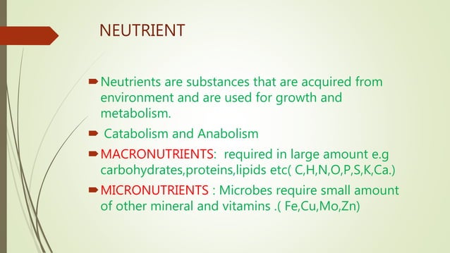 Nutritional requirements of bacteria | PPTX | Nutrition | Healthy Living