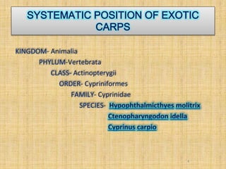 Nutritional requirements of exotic carps in different life stages | PPTX