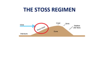 Nutritional rickets | PPT | Bone and Joint Conditions | Diseases and ...