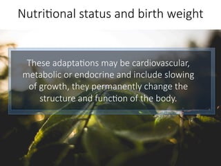 Nutritional status and birth weight | PDF