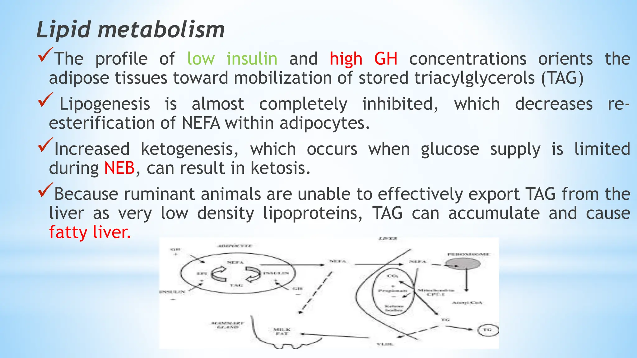 Nutritional strategies in Peri-parturient.pptx