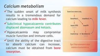 Nutritional strategies in Peri-parturient.pptx