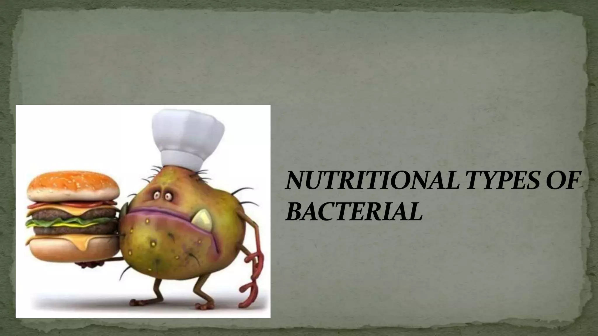 nutritional types.pptx