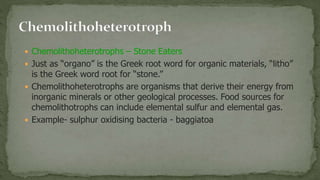 nutritional types.pptx