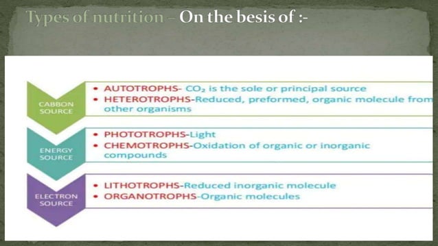 nutritional types.pptx