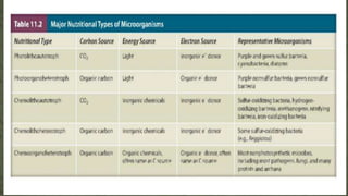 nutritional types.pptx | Nutrition | Healthy Living