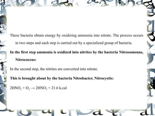 Types of Microbial Nutrition with examples | PPTX
