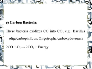 Types of Microbial Nutrition with examples | PPTX