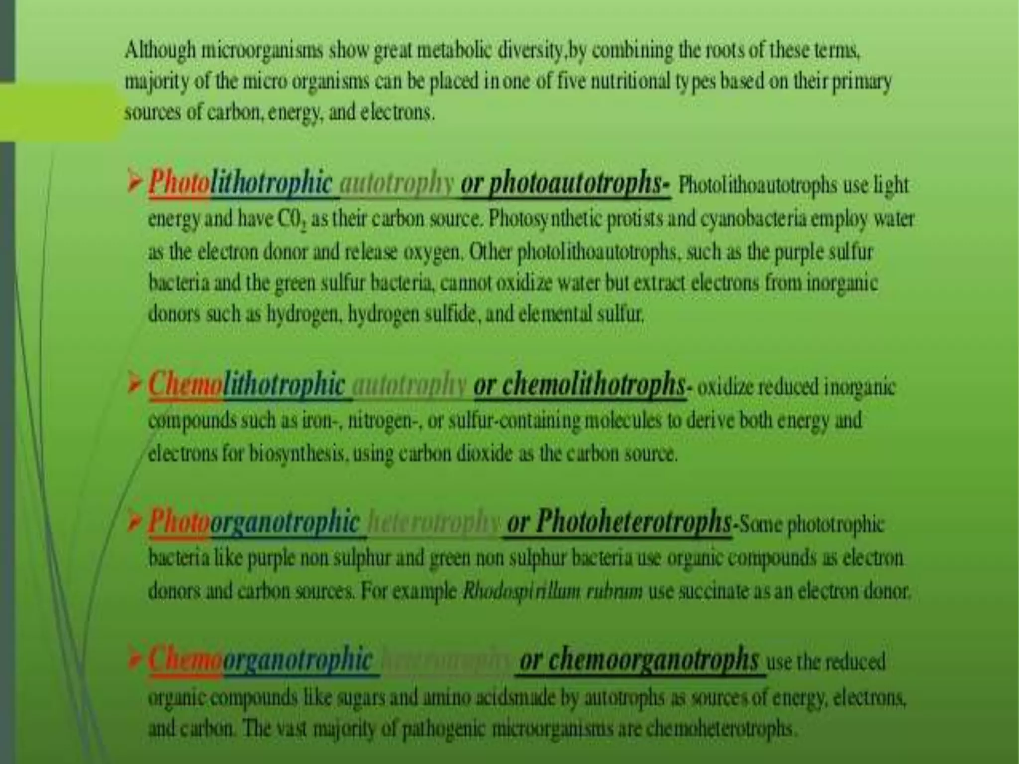 Nutritional types of bacteria | PPTX