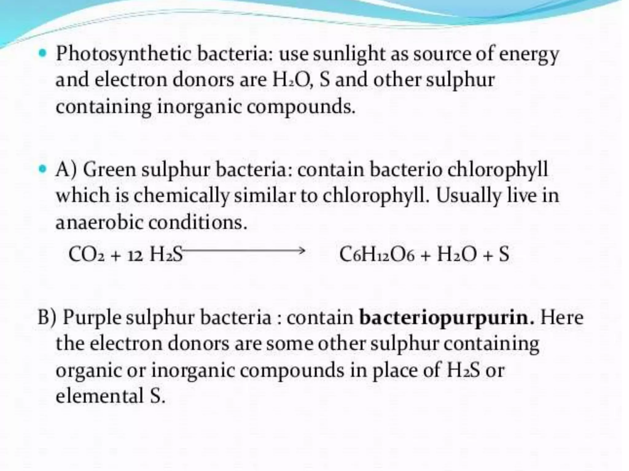 Nutritional types of bacteria | PPTX