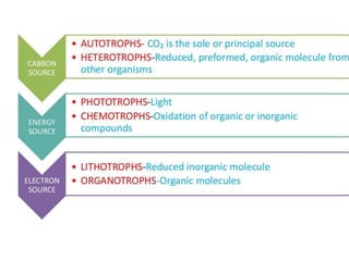 Nutritional types of bacteria | PPTX