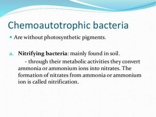 Nutritional types of bacteria | PPTX
