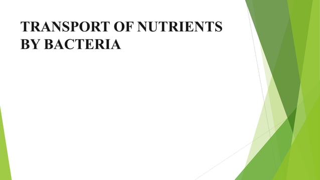 Nutritional Types of Bacteria - Classification of bacteria based on ...