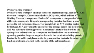 Nutritional Types of Bacteria - Classification of bacteria based on ...
