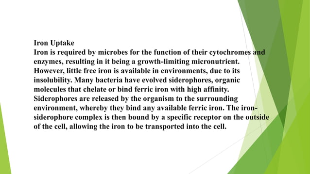 Nutritional Types of Bacteria - Classification of bacteria based on ...