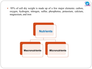 Common Nutrient Requirements | PPT