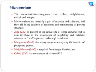 Common Nutrient Requirements | PPT