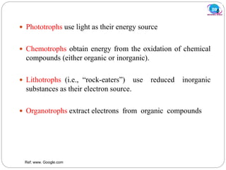 Common Nutrient Requirements | PPT