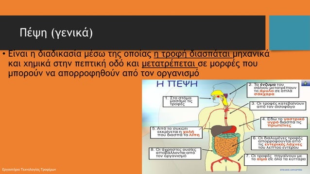 Οι υδατάνθρακες από θρεπτική άποψη | PPT